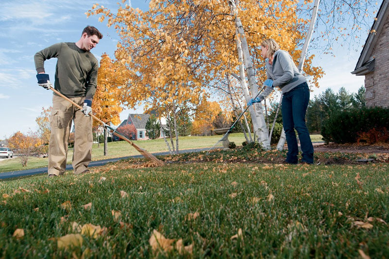 Aeration: Why, How & When to Aerate Your Lawn